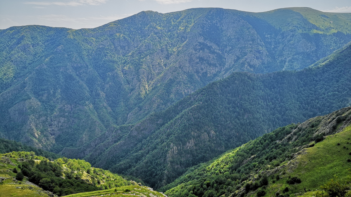 Bivouacking in Fall: Practical Tips – Backpacker Life