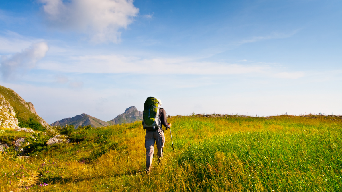 Choosing the Right Hiking Backpack: Your Complete Guide – Backpacker Life